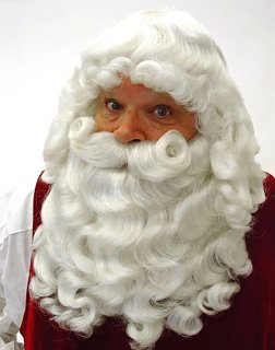 Planetsanta.com > Professional Santa Claus wig and beard sets in ...